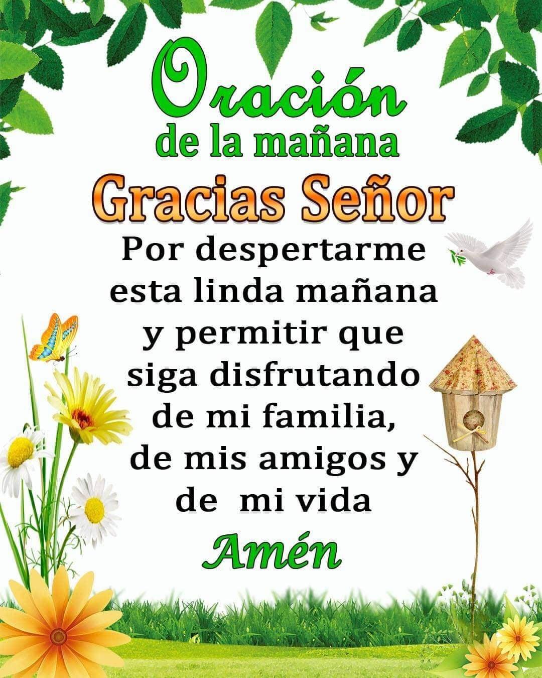 Oración para la mañana: Una herramienta Poderosa🧎 ⋆ La Oración Diaria